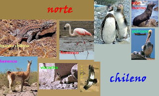 animales de chile
